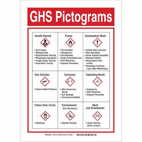Hardware Specialty | Brady GHS Pictogram Sign, 14" H x 10" W, Polyester