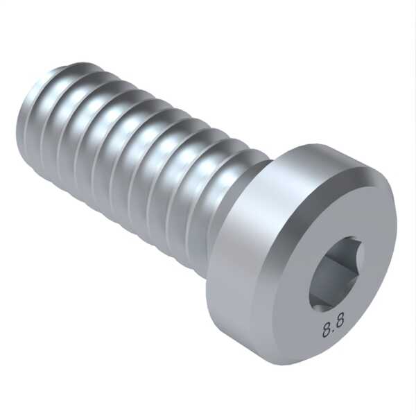 Hardware Specialty | M6 X 12mm Long, Low Head Socket Cap Screw. 8.8 ...