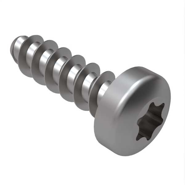 Hardware Specialty | M3 X 6mm Long, Pan Head PT Screw, Torx, Stainless ...